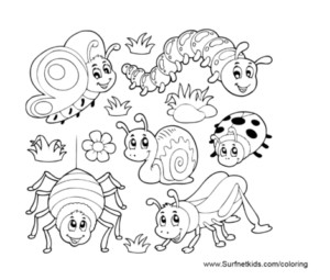 » Story Time – Creepy Crawlies