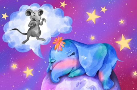 » Story Time: Elephantastic Elephants!