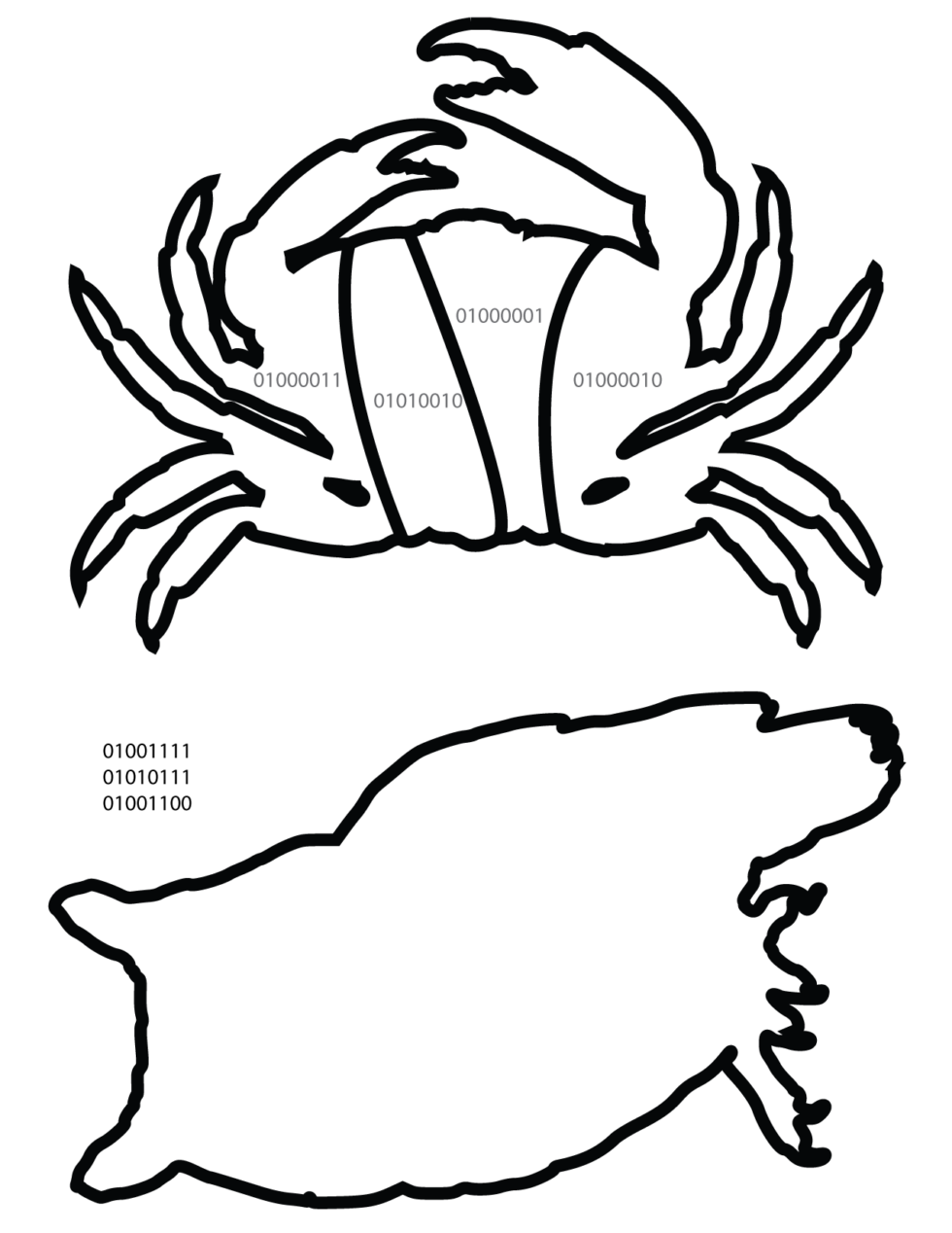 » Summer STEM: Binary Code Animals