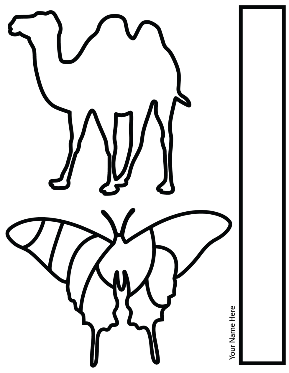 » Summer STEM: Binary Code Animals