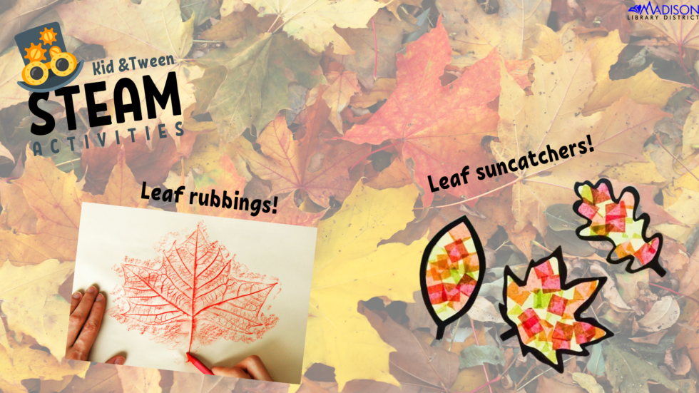 » November Kid and Tween Activities