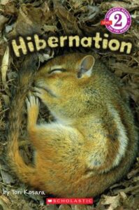 » Storytime: Hibernation